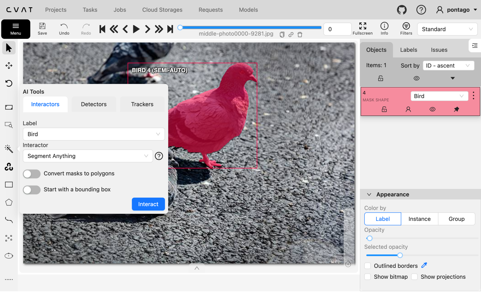 CVATとYOLOで自動アノテーション – GREEN STUDIO
